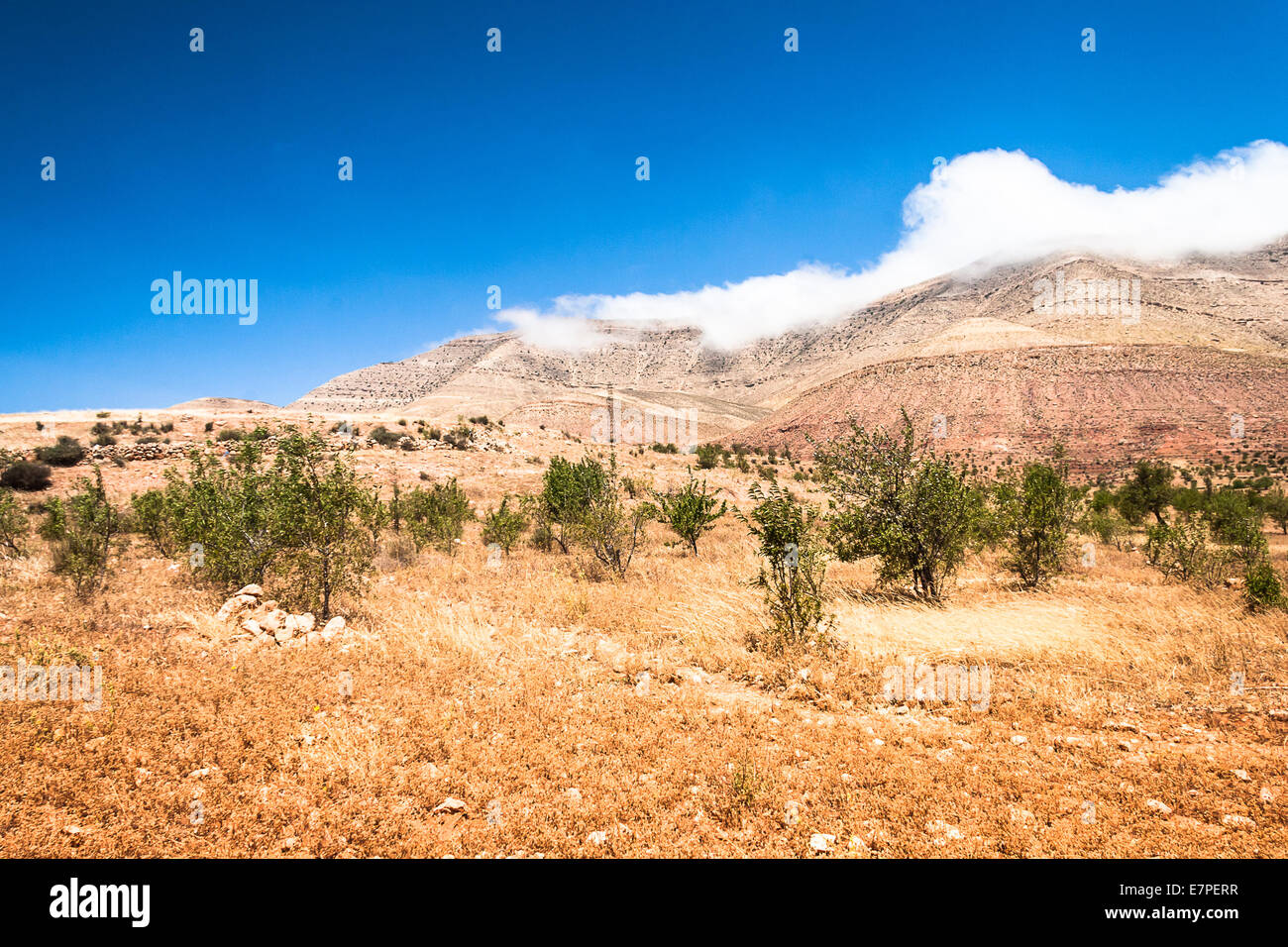 Landscape of Morocco Stock Photo - Alamy