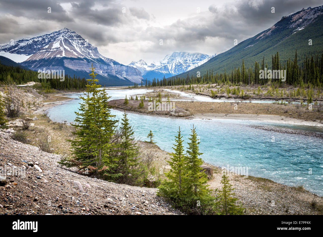 Sunwapta River, Icefields Parkway, Jasper National Park, Alberta ...