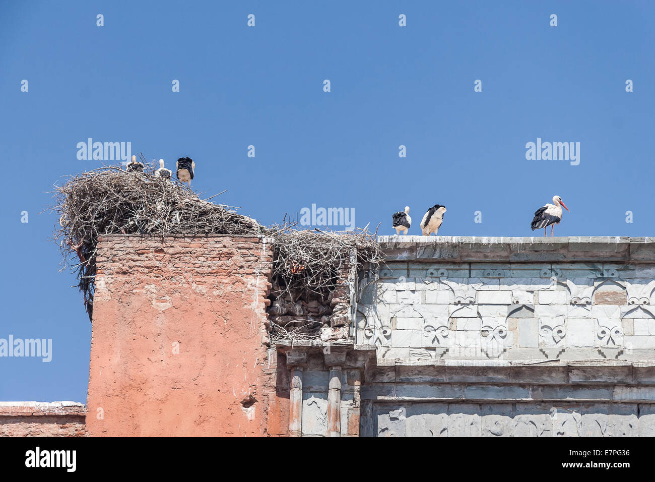 Marrakesh city view Stock Photo - Alamy