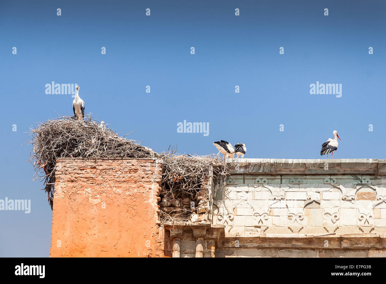 Marrakesh city view hi-res stock photography and images - Alamy
