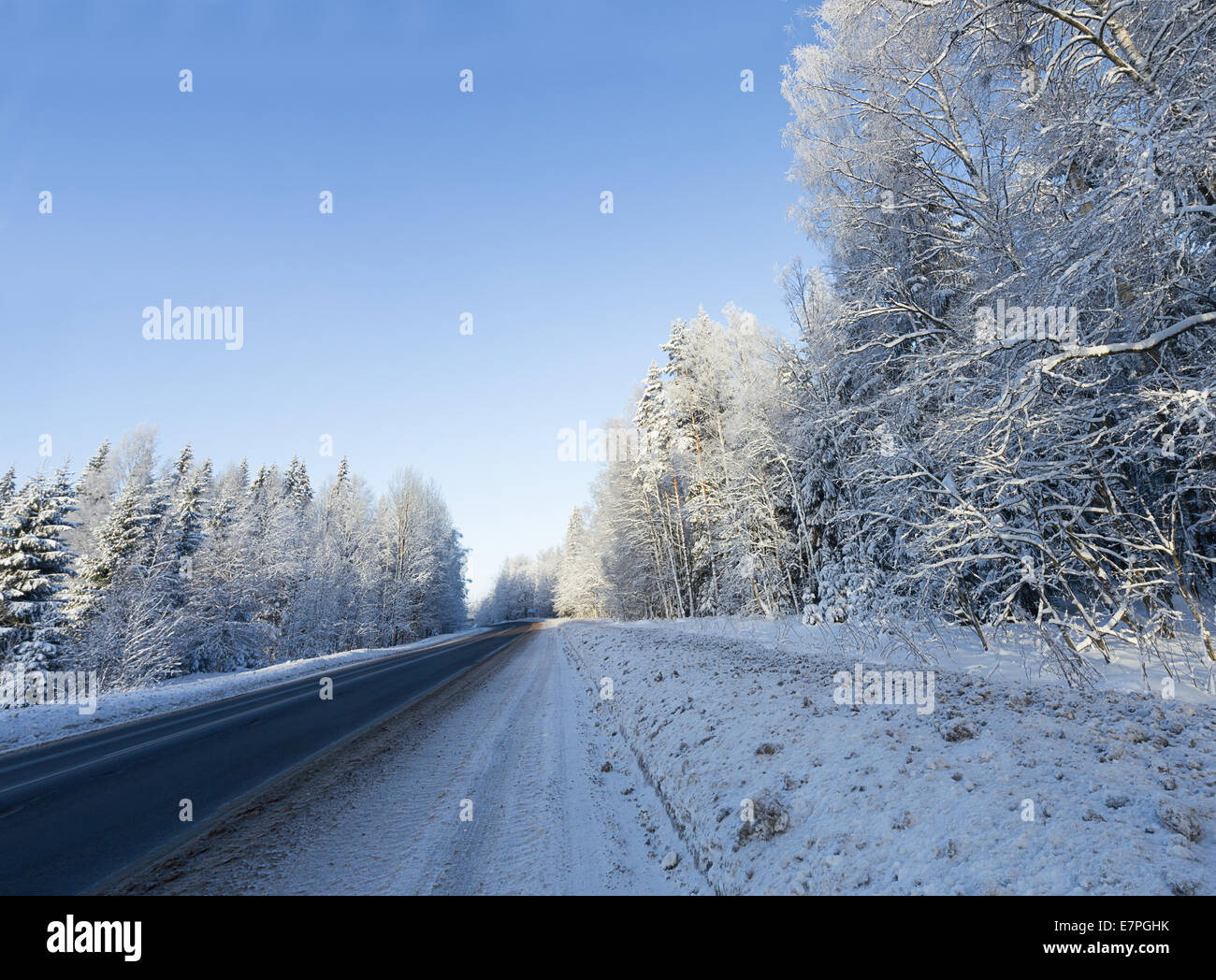 russian winter forest road in snow Stock Photo - Alamy