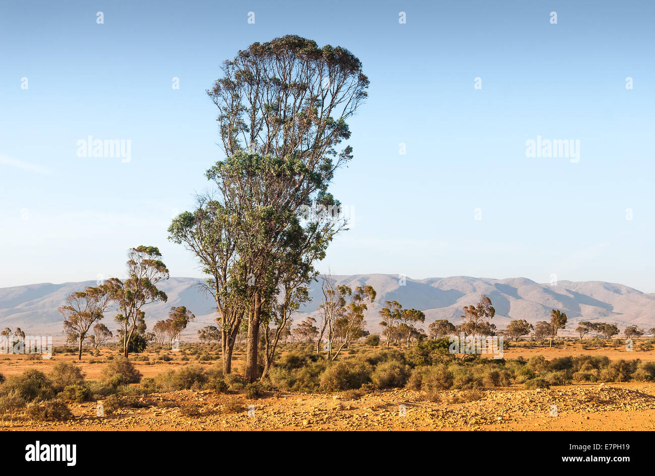 Landscape of Morocco Stock Photo - Alamy