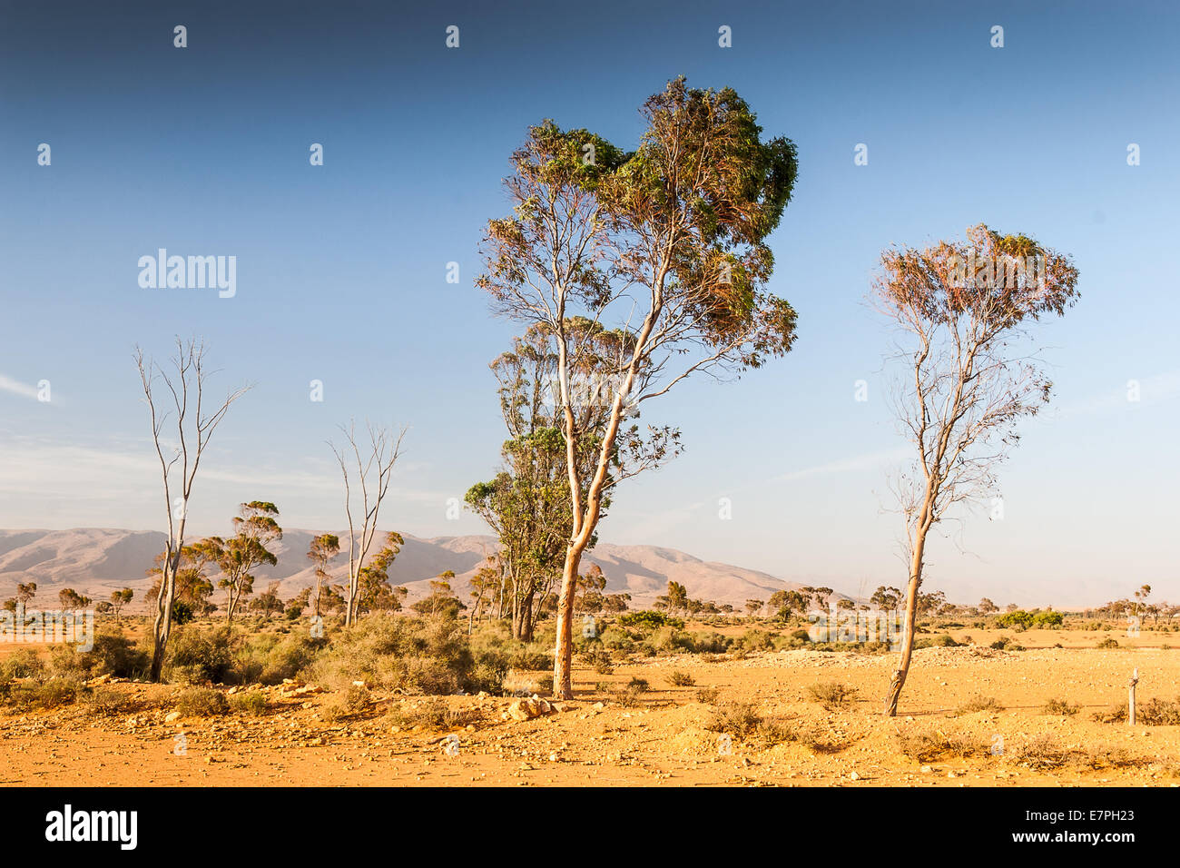 Landscape of Morocco Stock Photo - Alamy