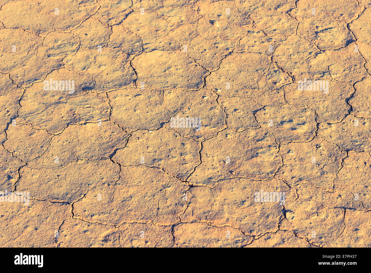 Cracked ground texture Stock Photo - Alamy