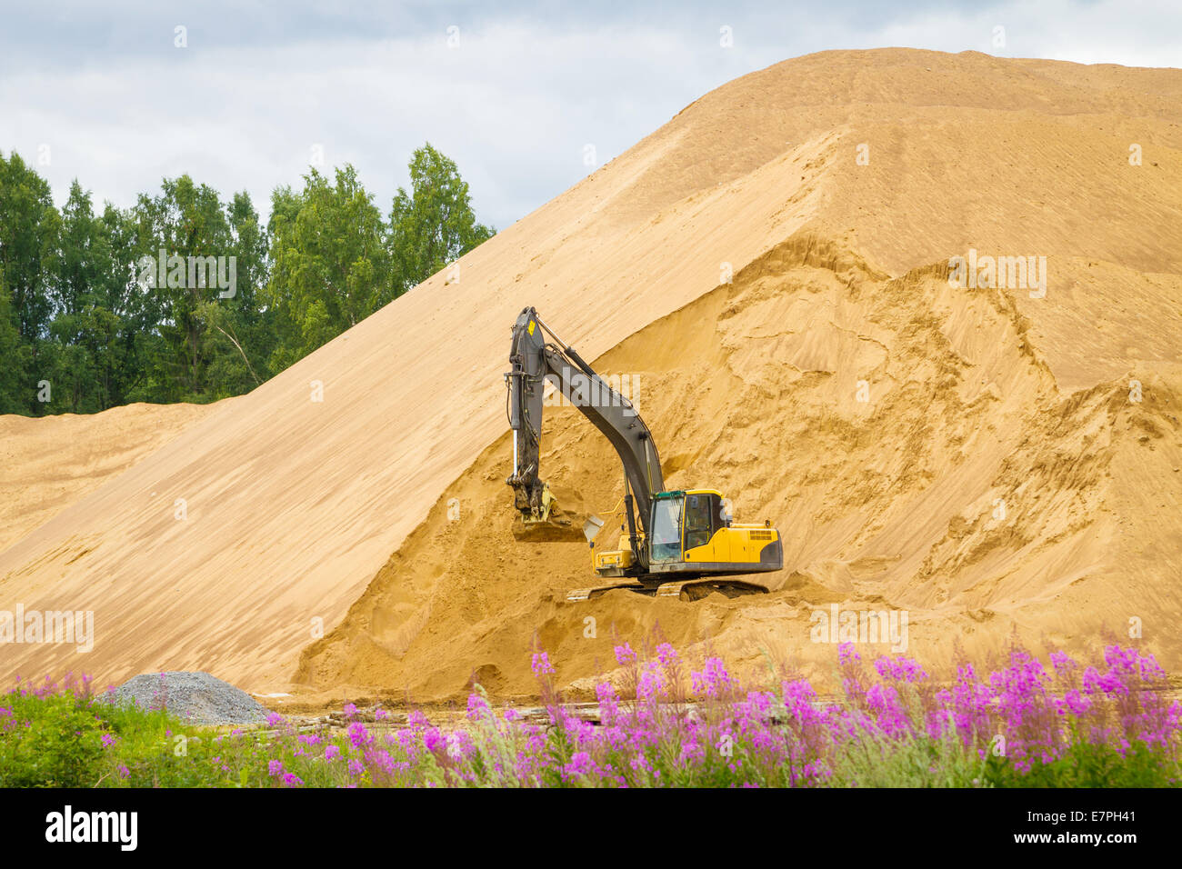 nice construction transport building new region in forest Stock Photo ...