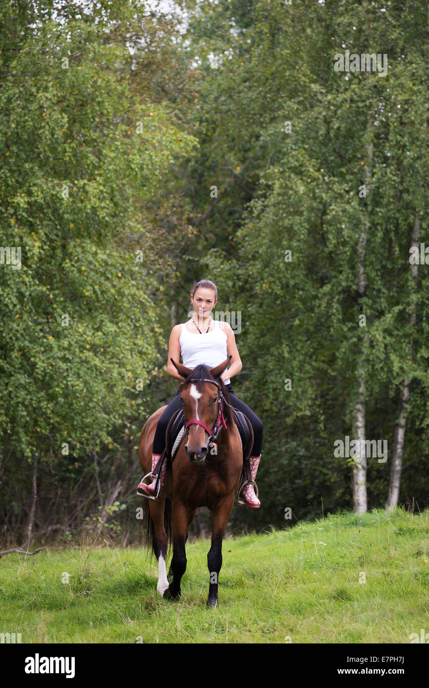 Pretty young horse hi-res stock photography and images - Alamy