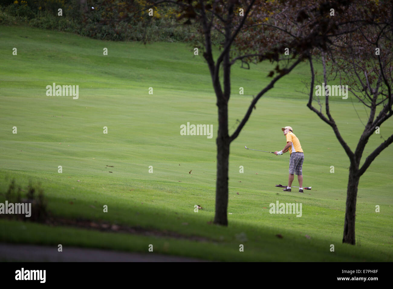man golfing golf course Stock Photo - Alamy