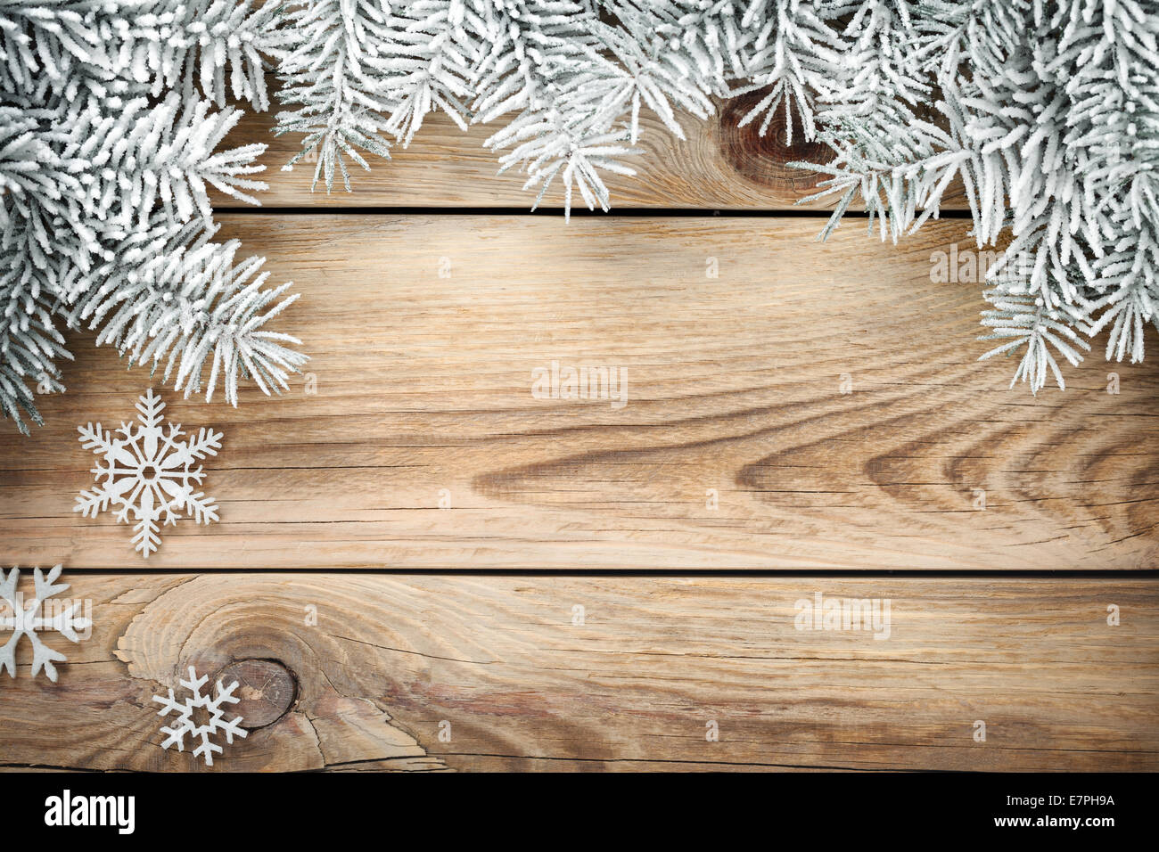 Christmas spruce tree covered with snow for holiday background. Copy ...