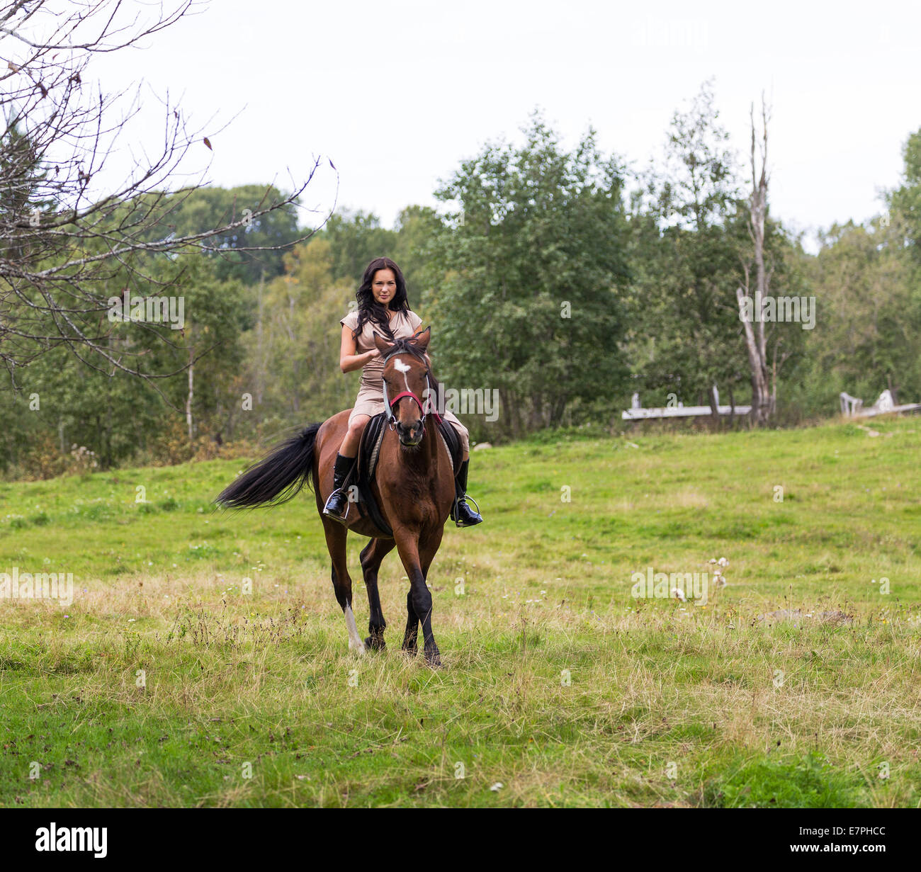 Young pretty woman riding horse Stock Photo - Alamy