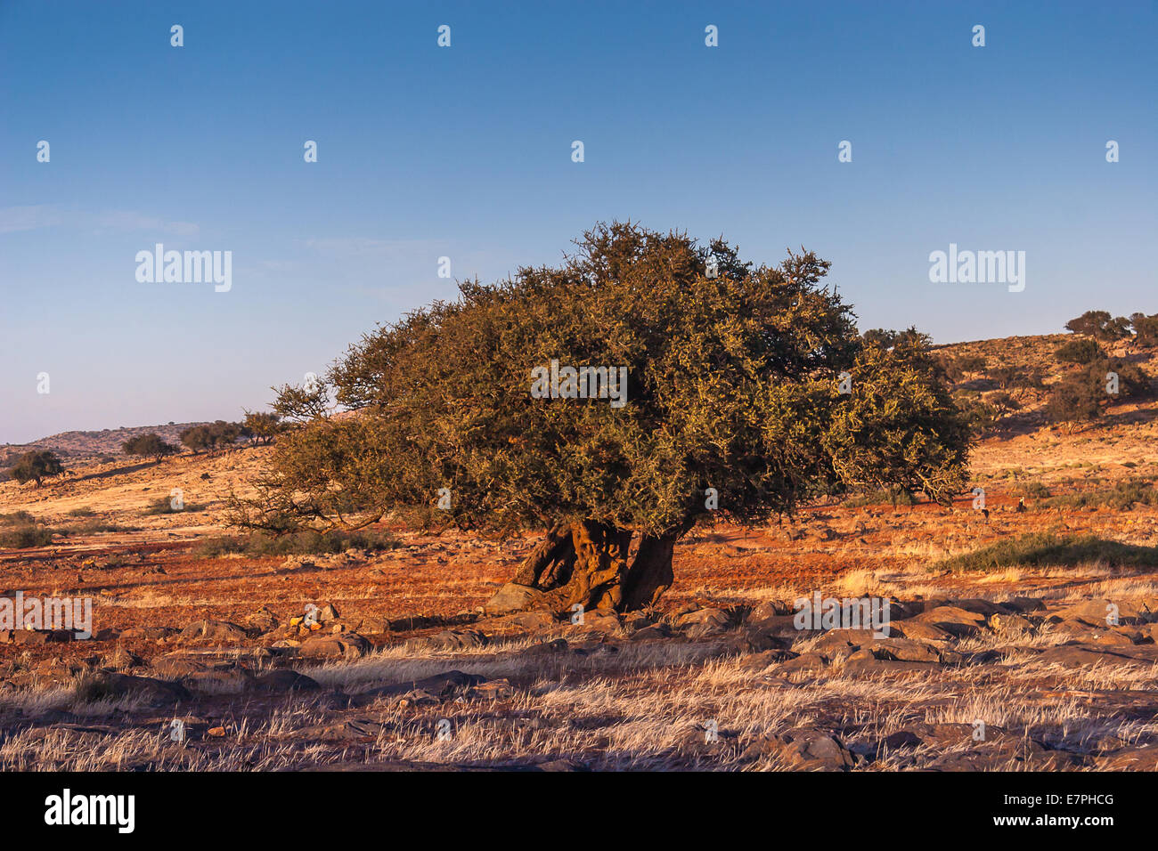 Landscape of Morocco Stock Photo - Alamy