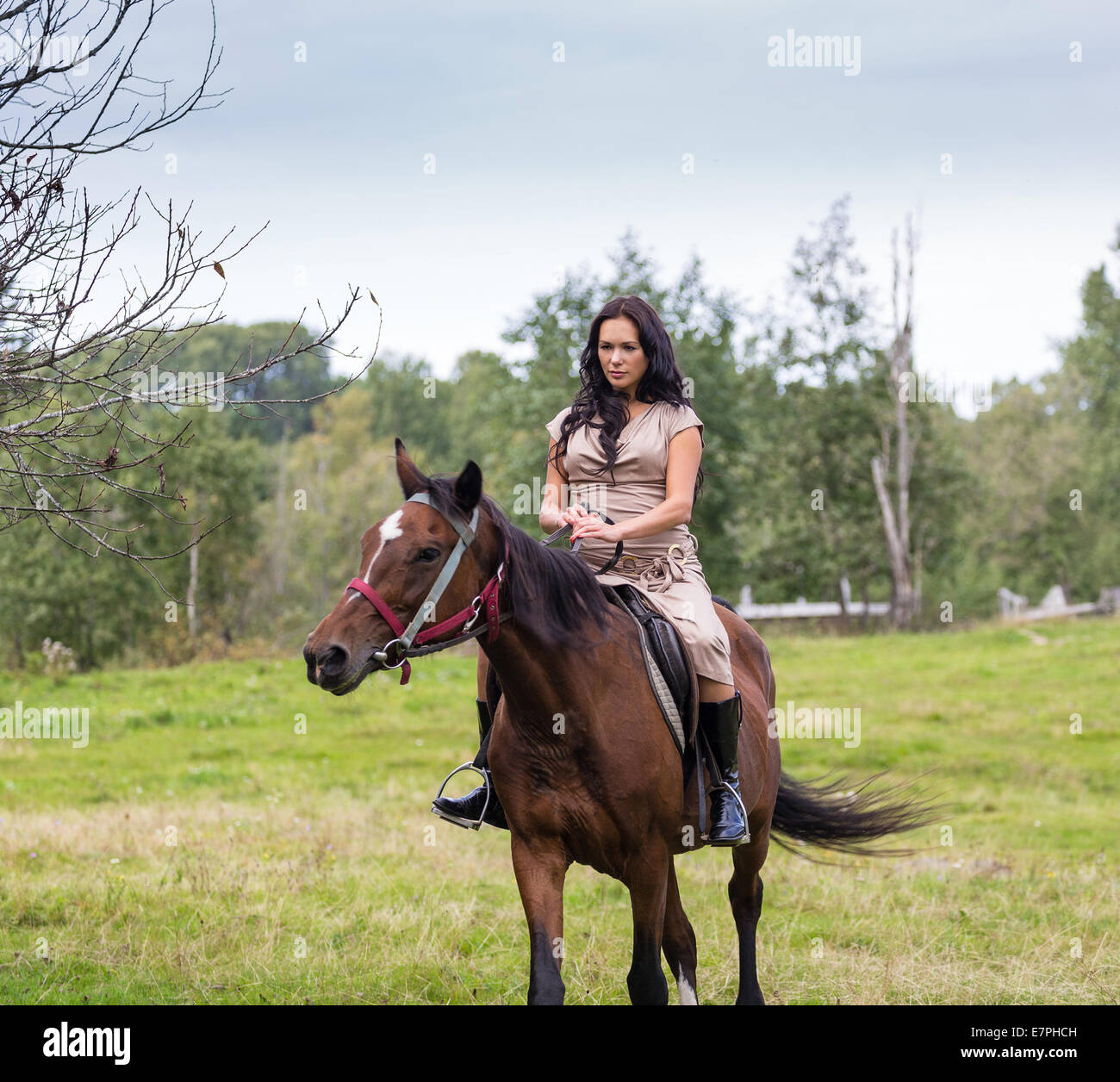 Beautiful young woman riding horse hi-res stock photography and images ...