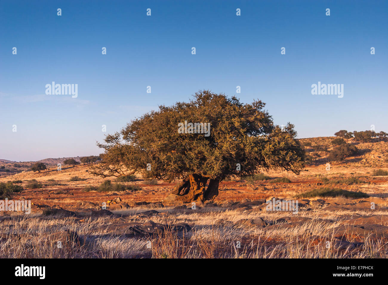 Landscape of Morocco Stock Photo - Alamy