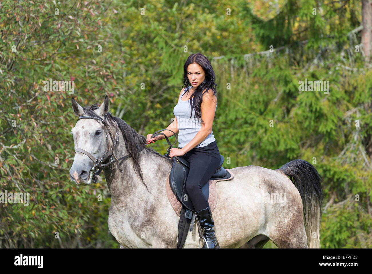 Young pretty woman riding horse Stock Photo - Alamy
