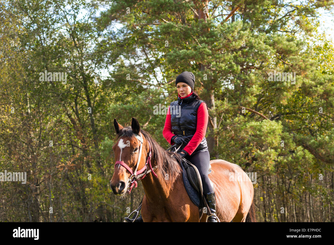 Young pretty woman riding horse Stock Photo - Alamy