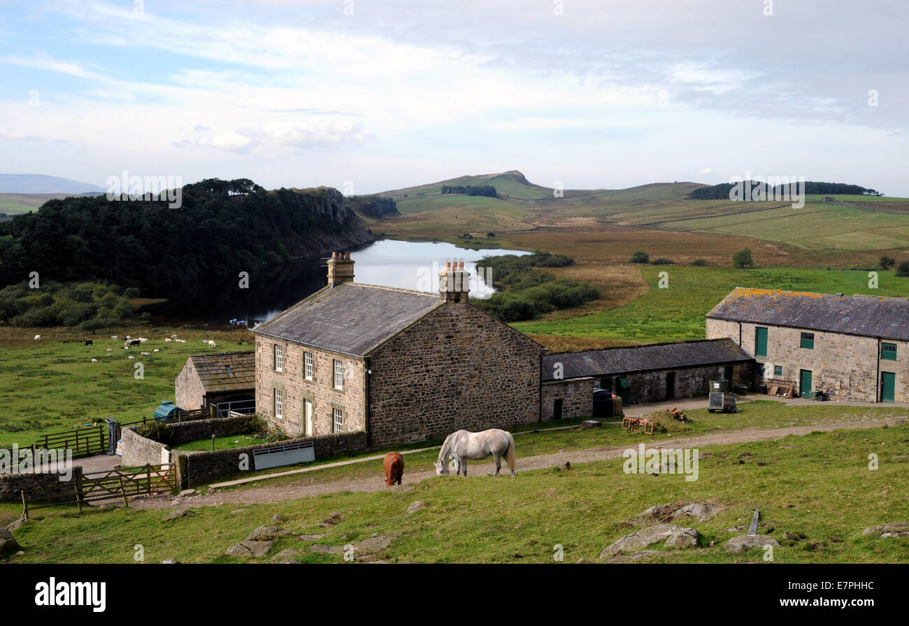 Hotbank Farm, with Crag Lough in the background, has some of the most ...