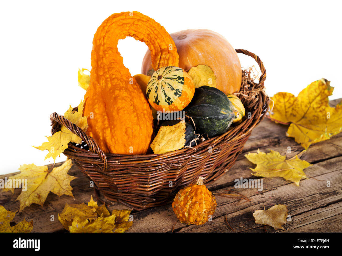 Pumpkin crop fall autumn seasonal food on wood Stock Photo - Alamy