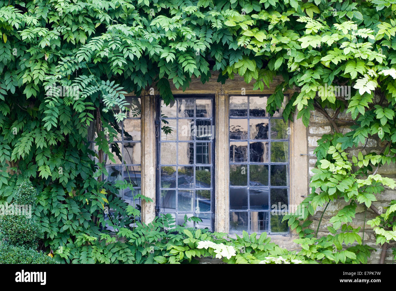 Stone window leaves hi-res stock photography and images - Alamy