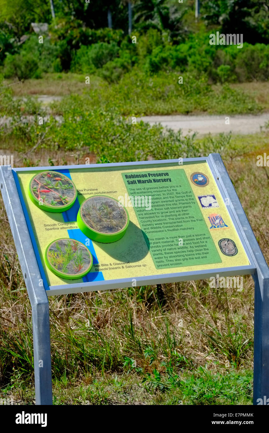 Salt marsh nursery hi-res stock photography and images - Alamy