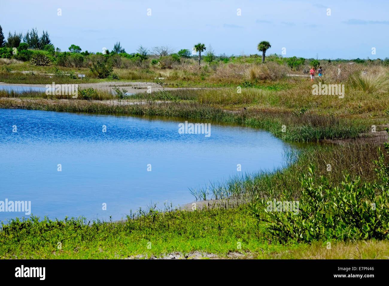 Robinson Preserve Nature Bradenton Florida FL US USA Stock Photo - Alamy