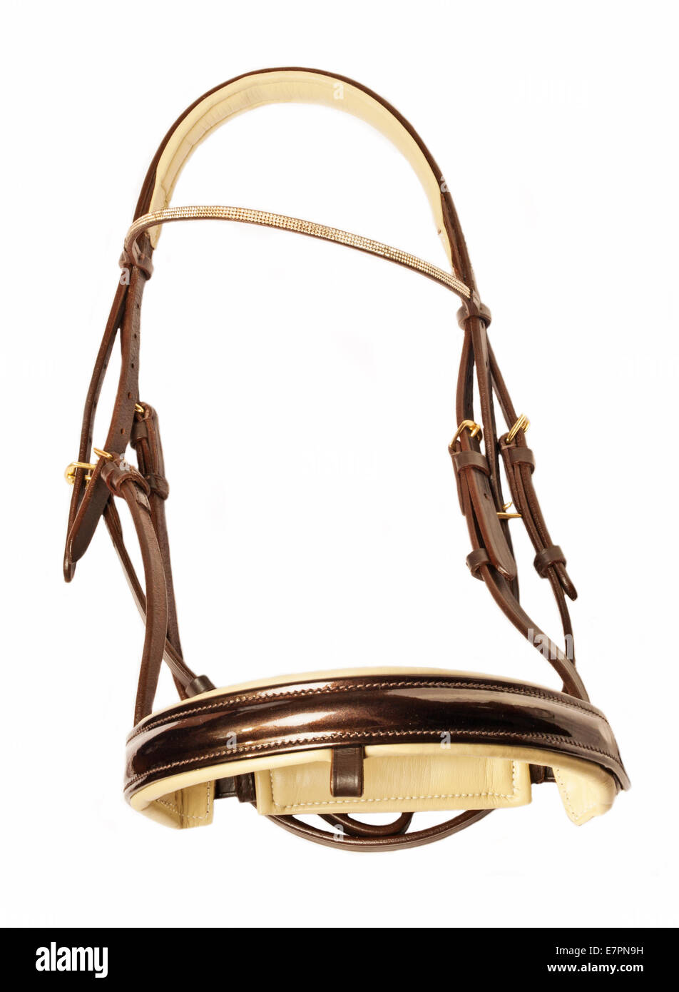 Bridle show hi-res stock photography and images - Alamy