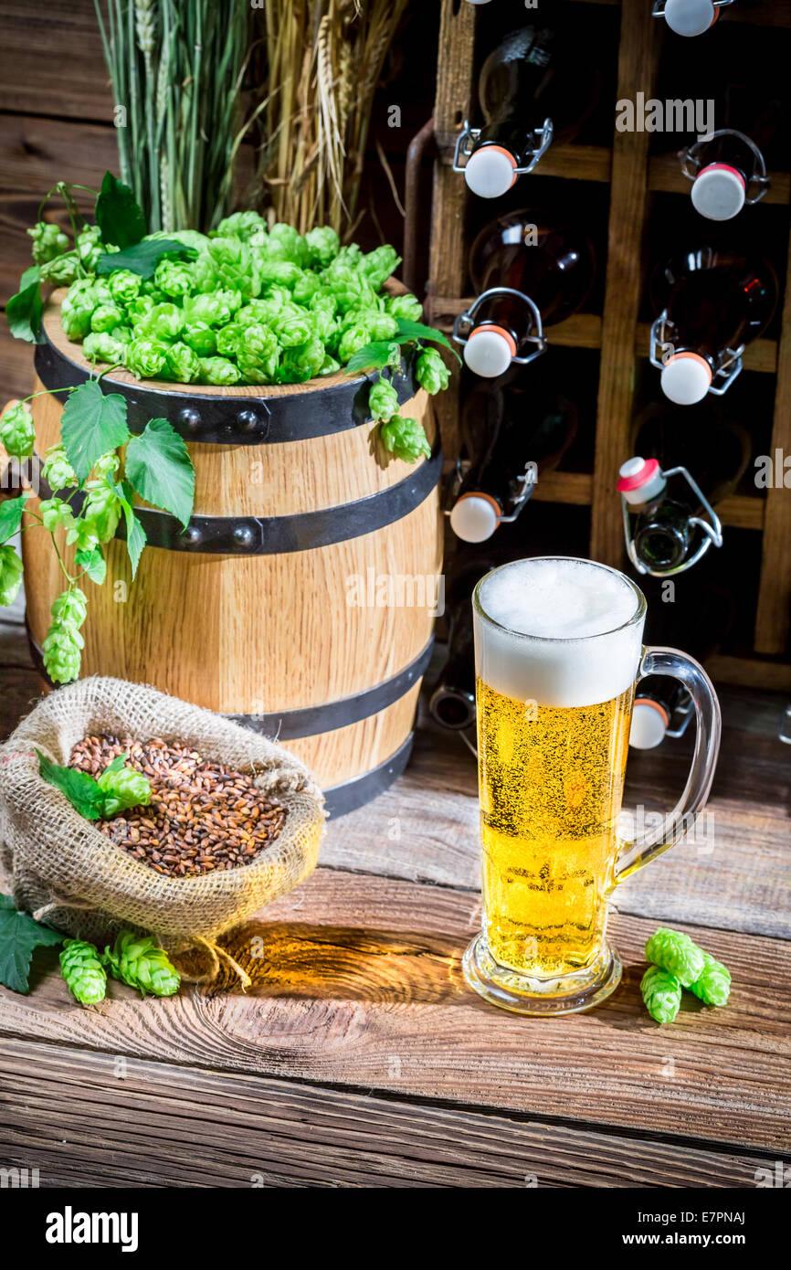 Hop fest hi-res stock photography and images - Alamy