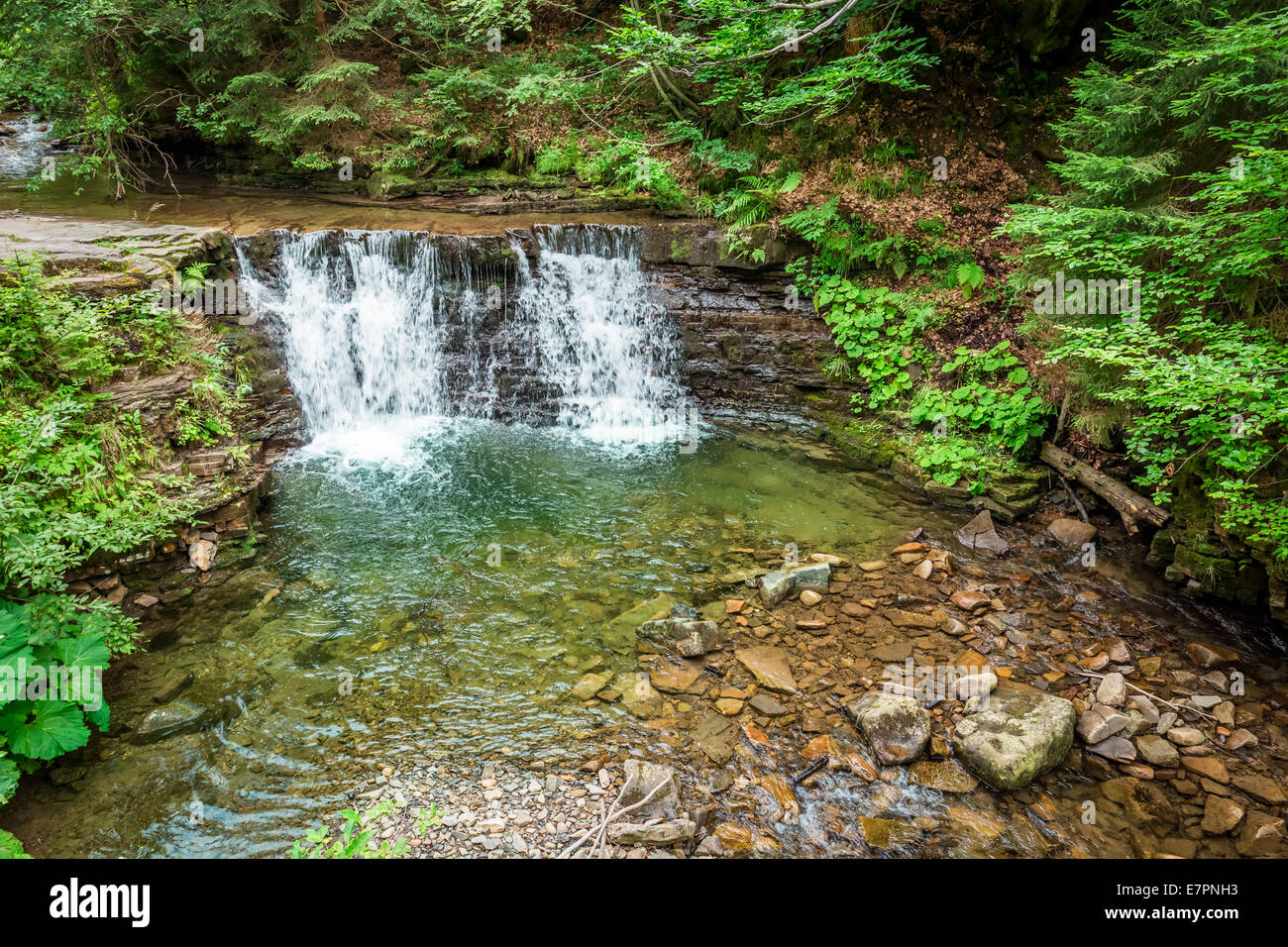 Mountain stream forming a water cascade Stock Photo - Alamy