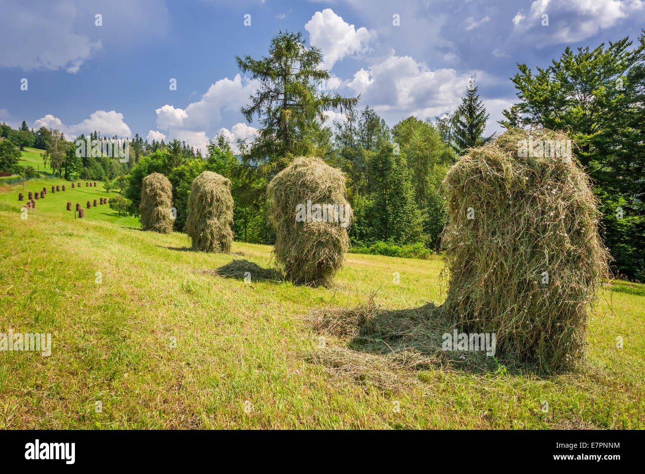 Hanging haystack hi-res stock photography and images - Alamy