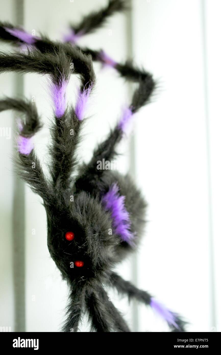 Spooky Halloween Spider Stock Photo - Alamy
