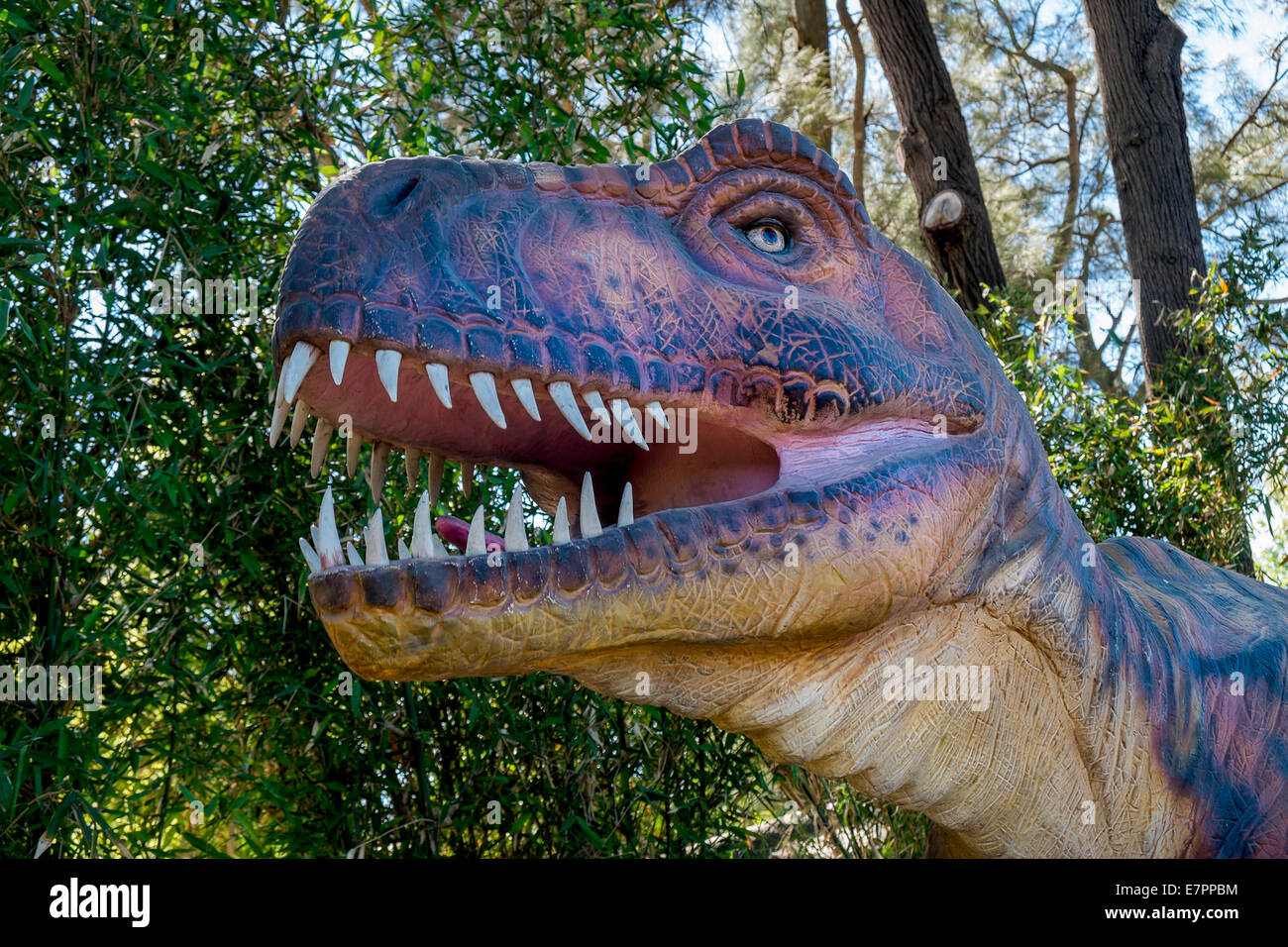 A life size Tyrannosaurus Rex dinosaur figure prowls the forest Stock ...