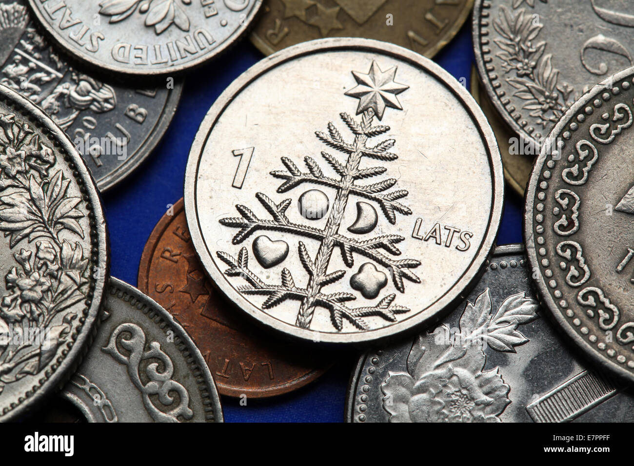 Coins In Tree High Resolution Stock Photography and Images - Alamy