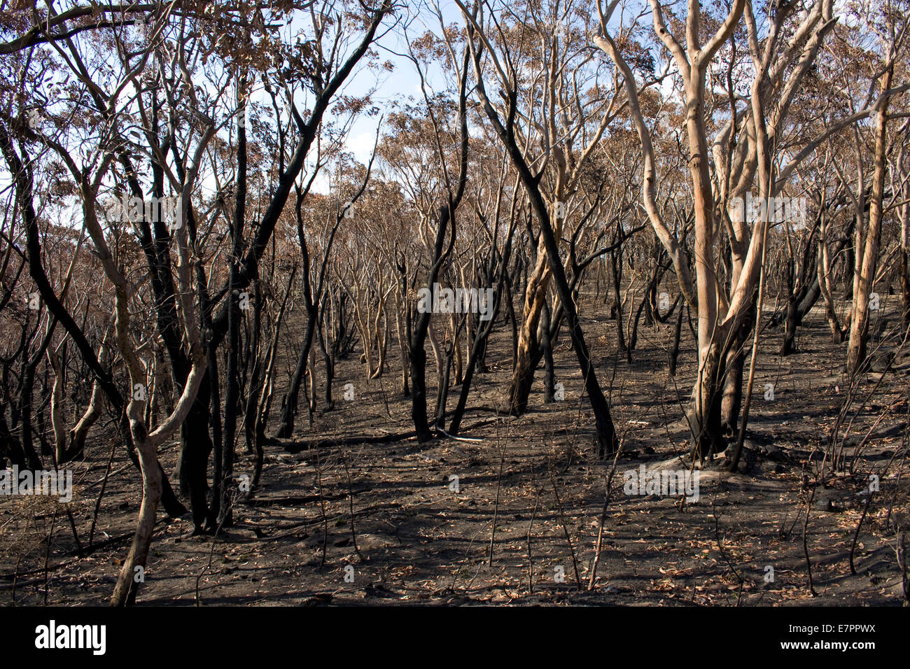 Burnt mountains hi-res stock photography and images - Alamy