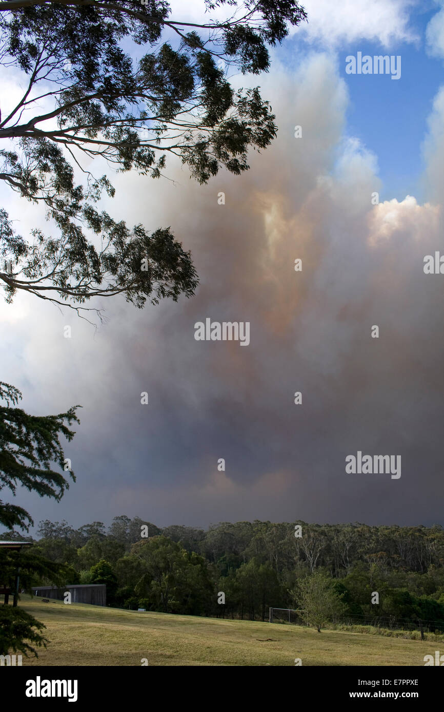 Smoke from a bushfire burning in the blue mountains in Australia Stock ...