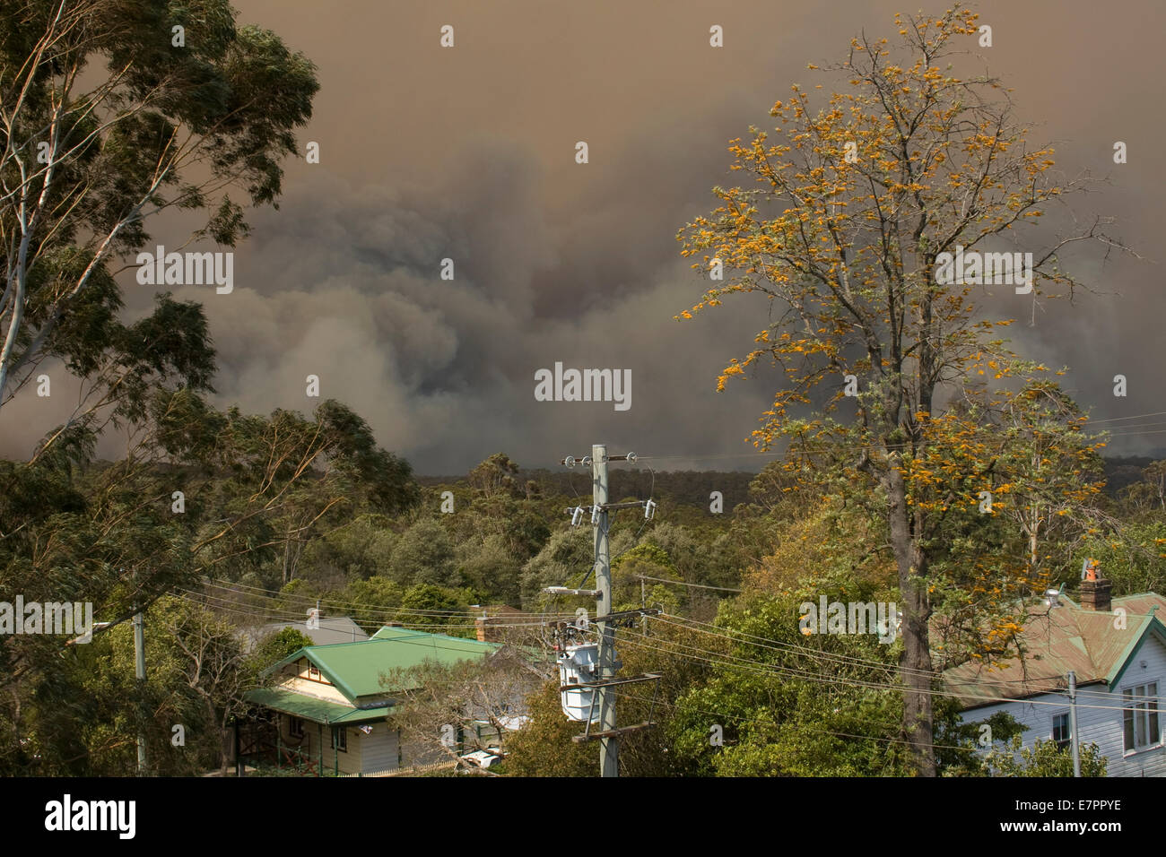 Smoke from a bushfire burning in the blue mountains in Australia Stock ...