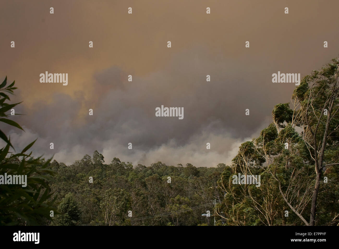 Smoke from a bushfire burning in the blue mountains in Australia Stock ...