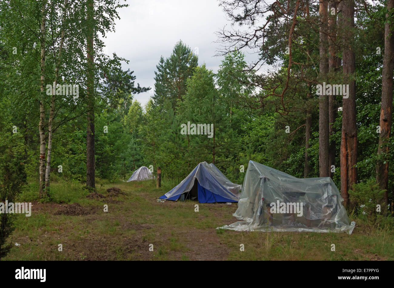 Tourist camp in forest Stock Photo - Alamy
