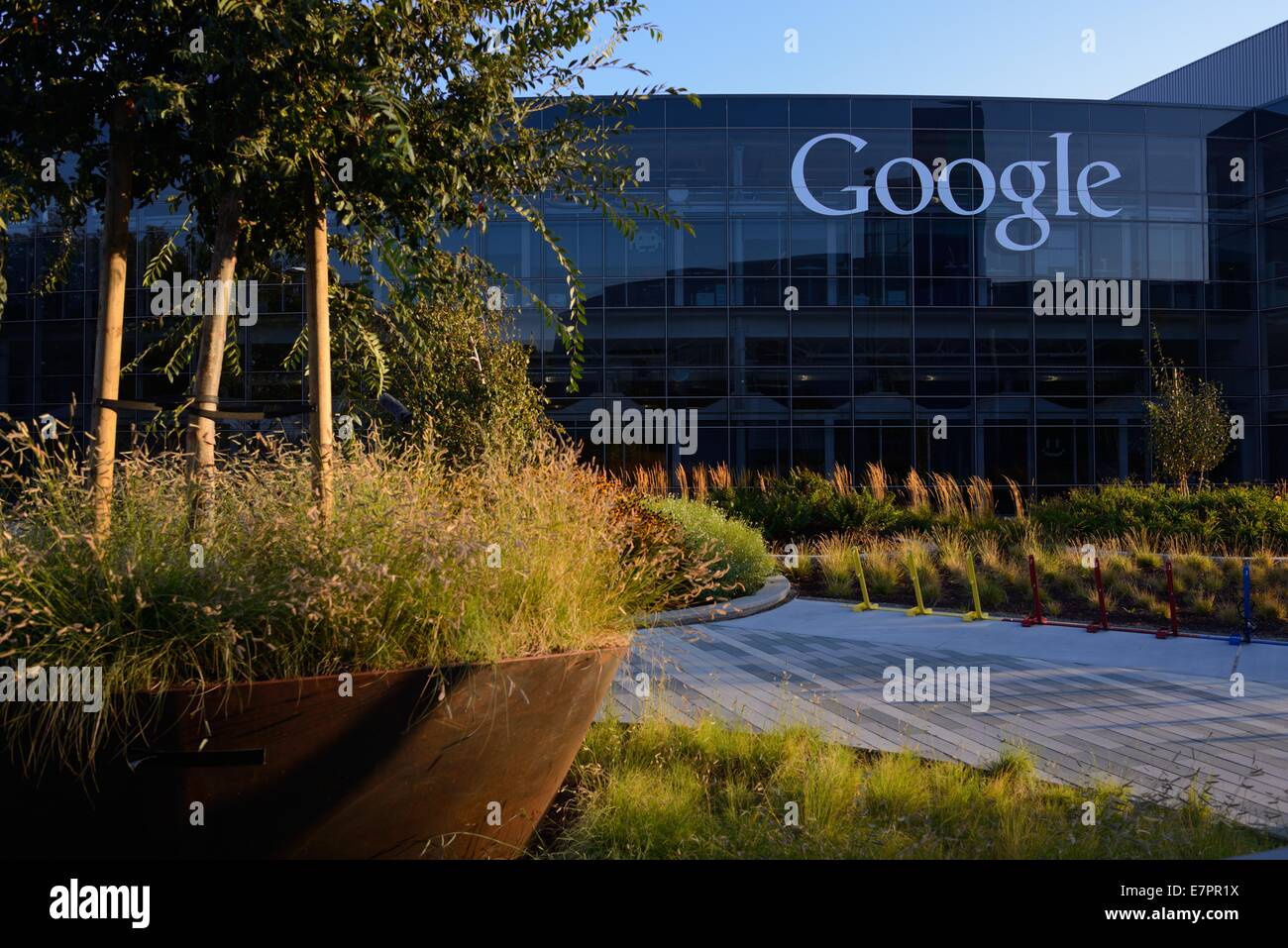 The Googleplex campus at the worldwide headquarters in Silicon Valley ...