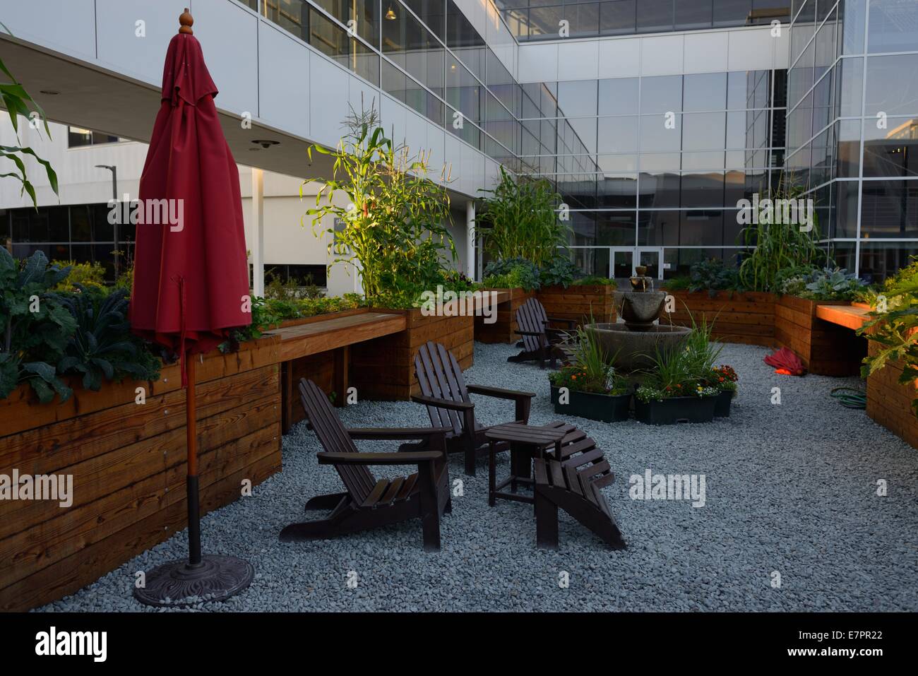 Google campus ca hi-res stock photography and images - Alamy