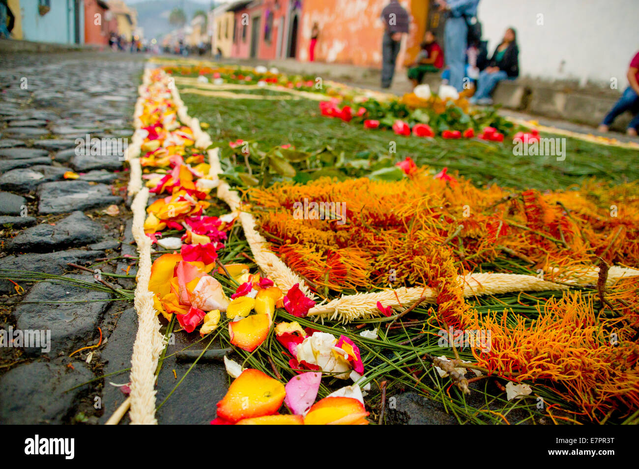 Easter carpet in antigua guatemala Stock Photo - Alamy