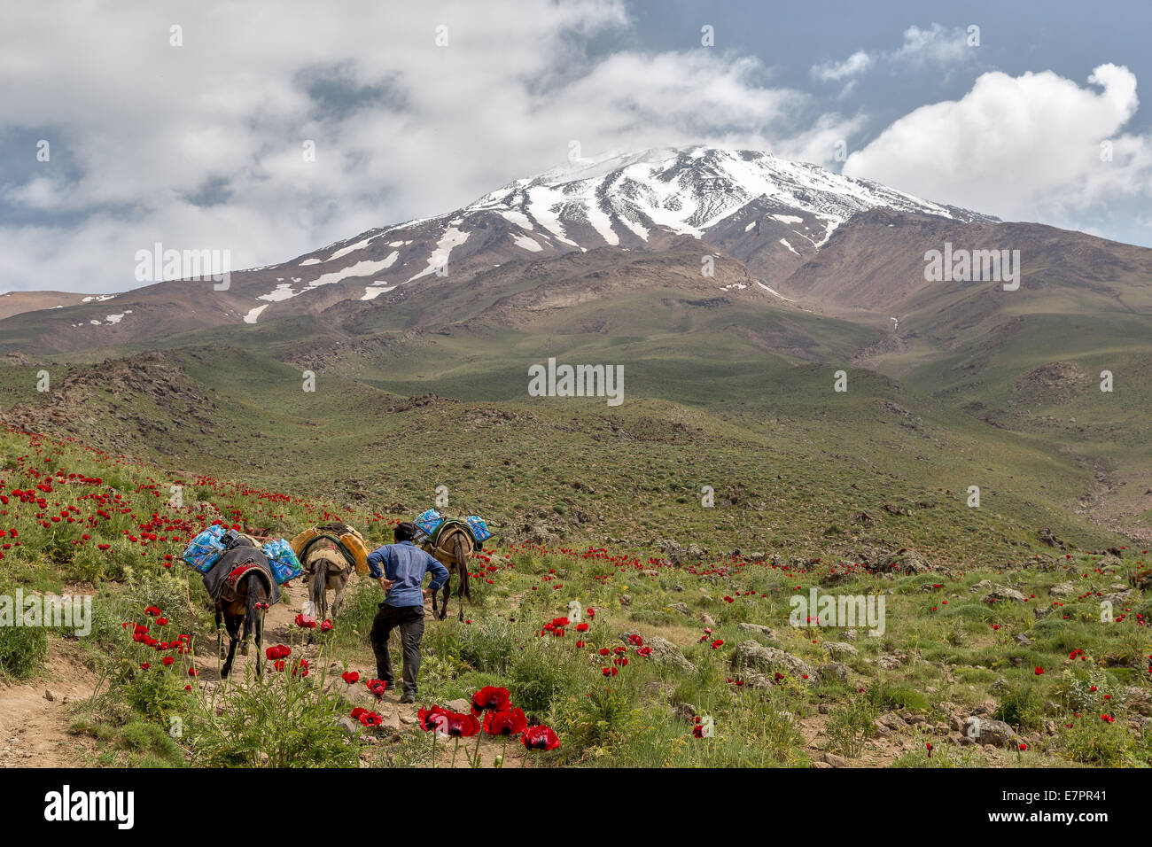Damavand volcano hi-res stock photography and images - Alamy