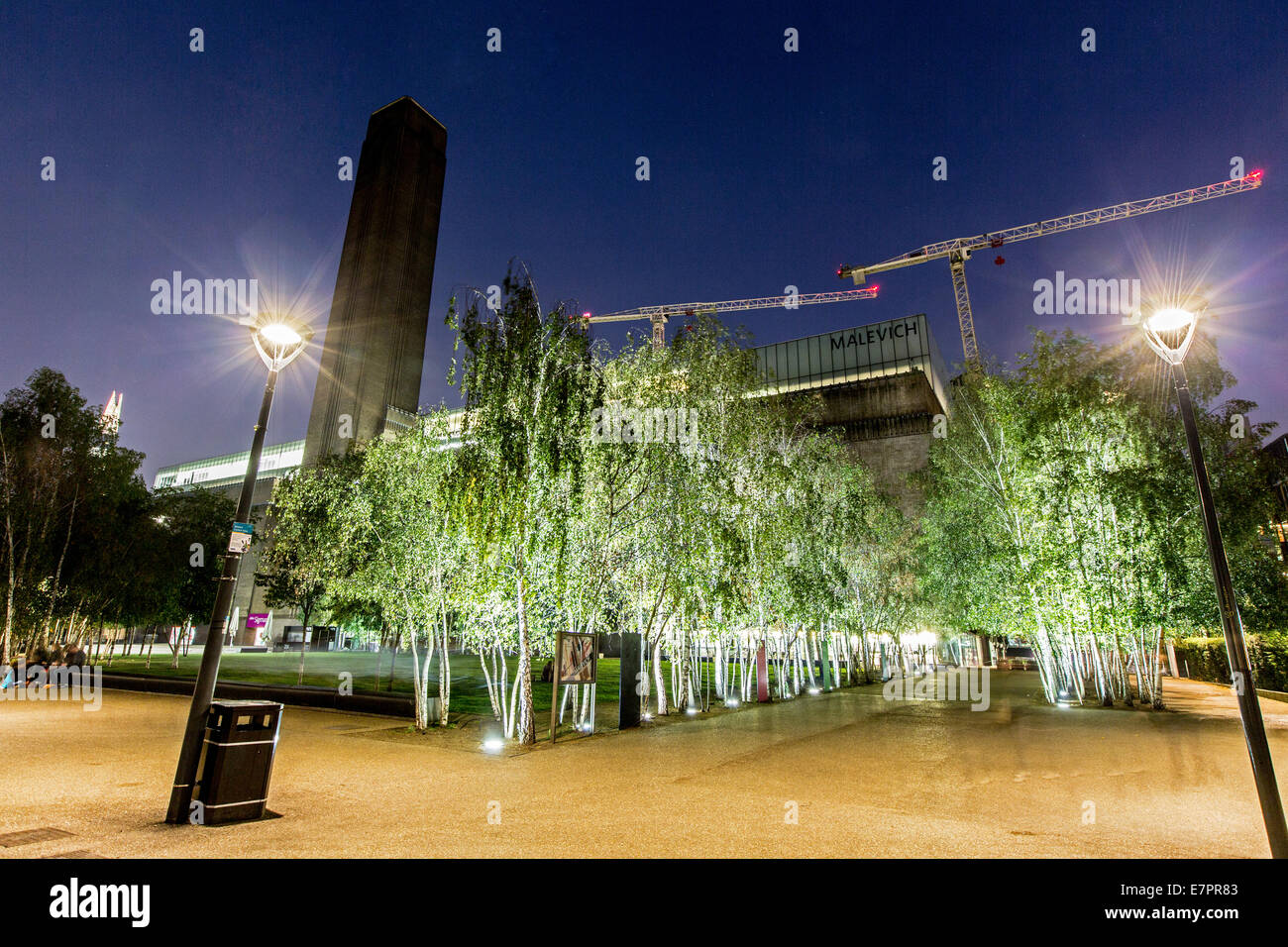 Birch trees outside tate modern hi-res stock photography and images - Alamy
