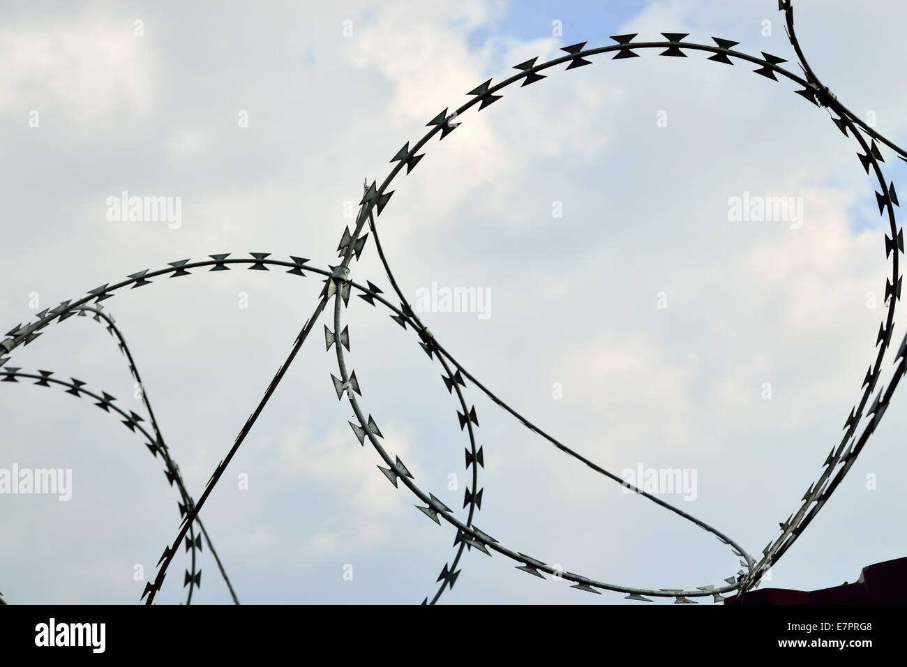 Razor wire outdoor hi-res stock photography and images - Alamy