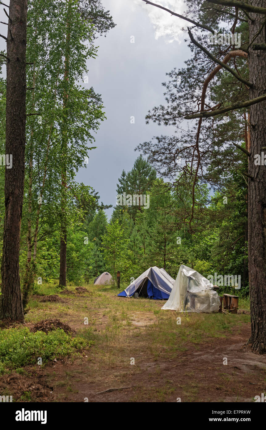 Tall timber camp hi-res stock photography and images - Alamy