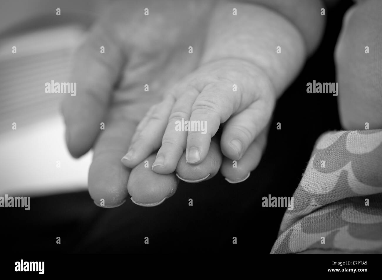 Hand little baby on Black and White Stock Photos & Images - Alamy