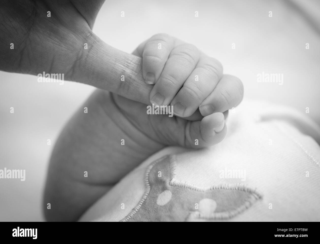 Young baby holding parents finger Stock Photo - Alamy