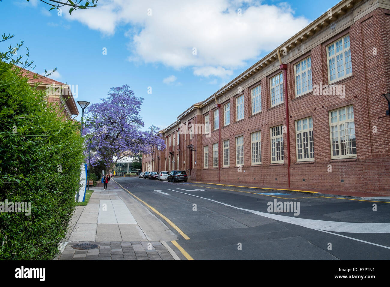 Adelaide university north terrace campus hi-res stock photography and ...