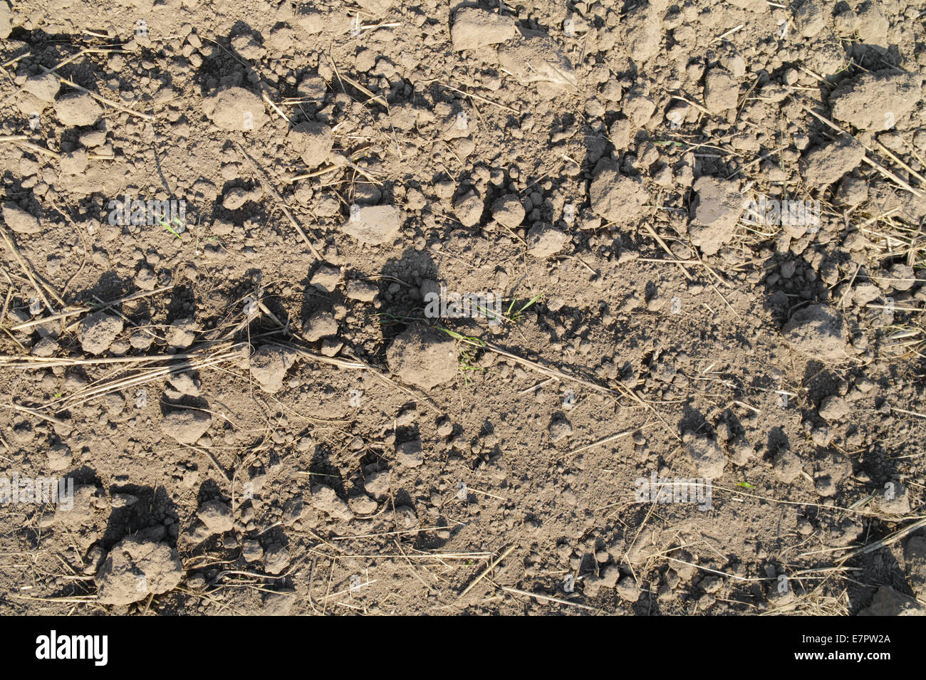 Clay soil clod texture hi-res stock photography and images - Alamy