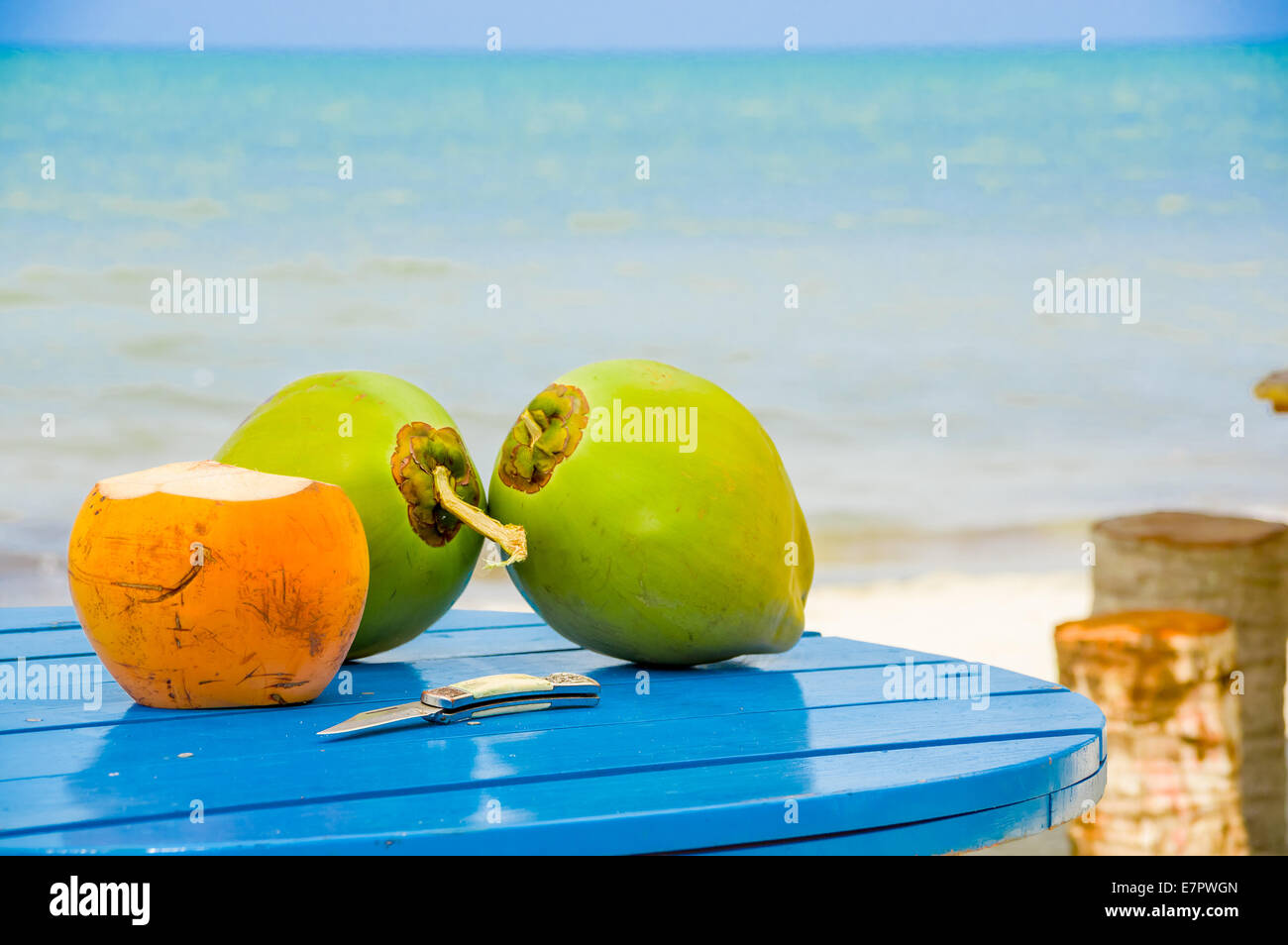 coconuts on a table by the beach in livingston guatemala Stock Photo ...
