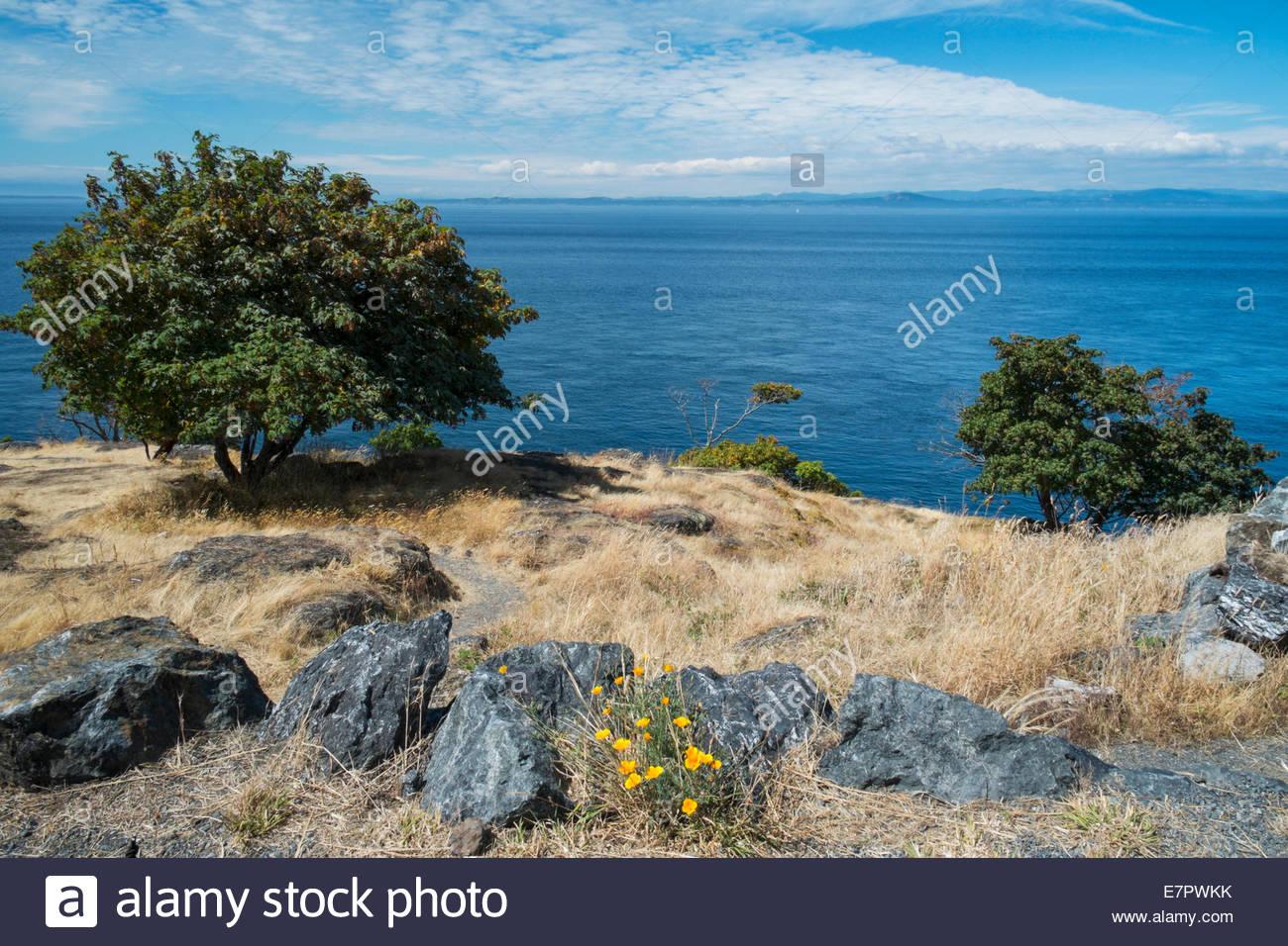 Haro Strait High Resolution Stock Photography and Images - Alamy