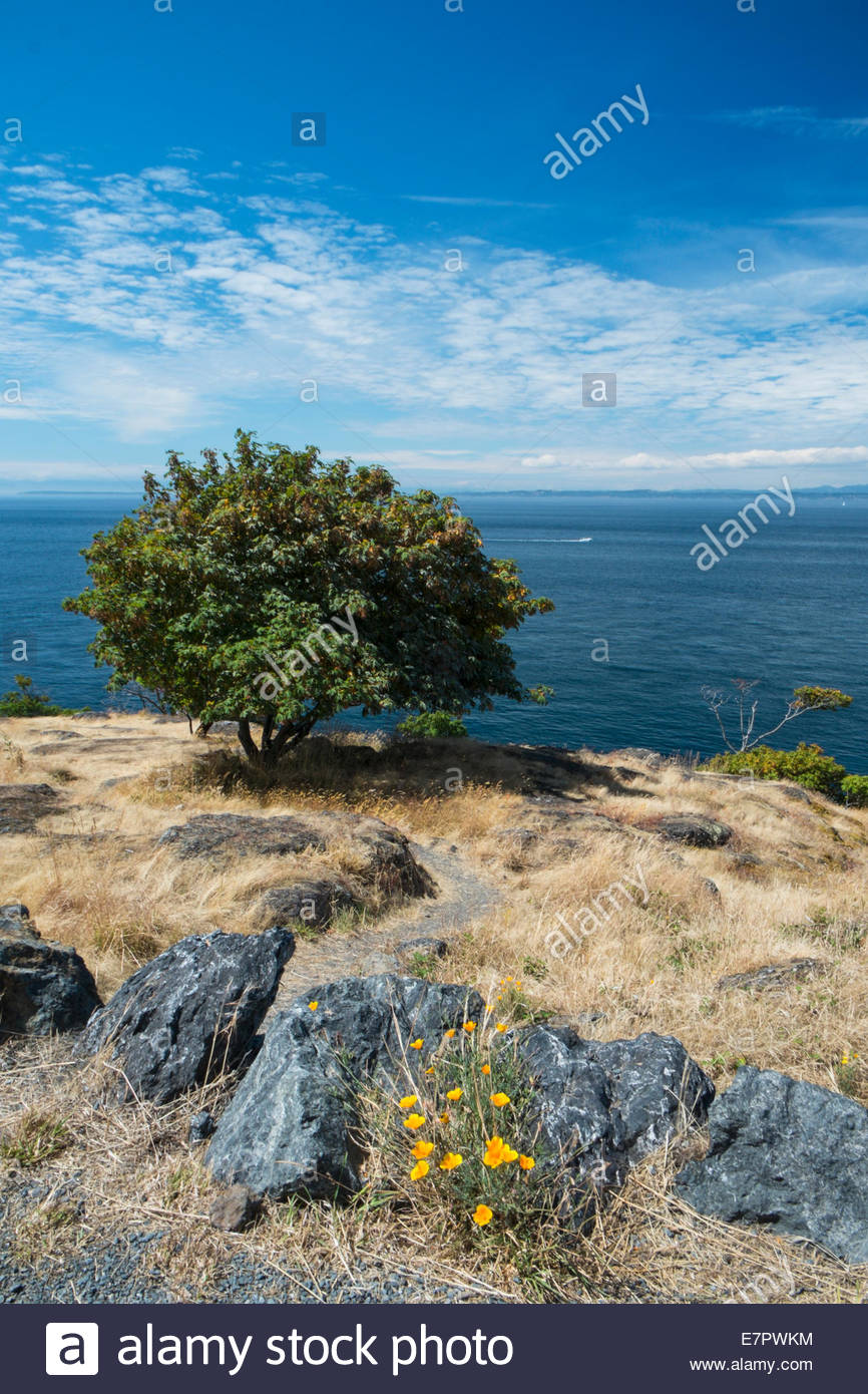 Haro Strait High Resolution Stock Photography and Images - Alamy