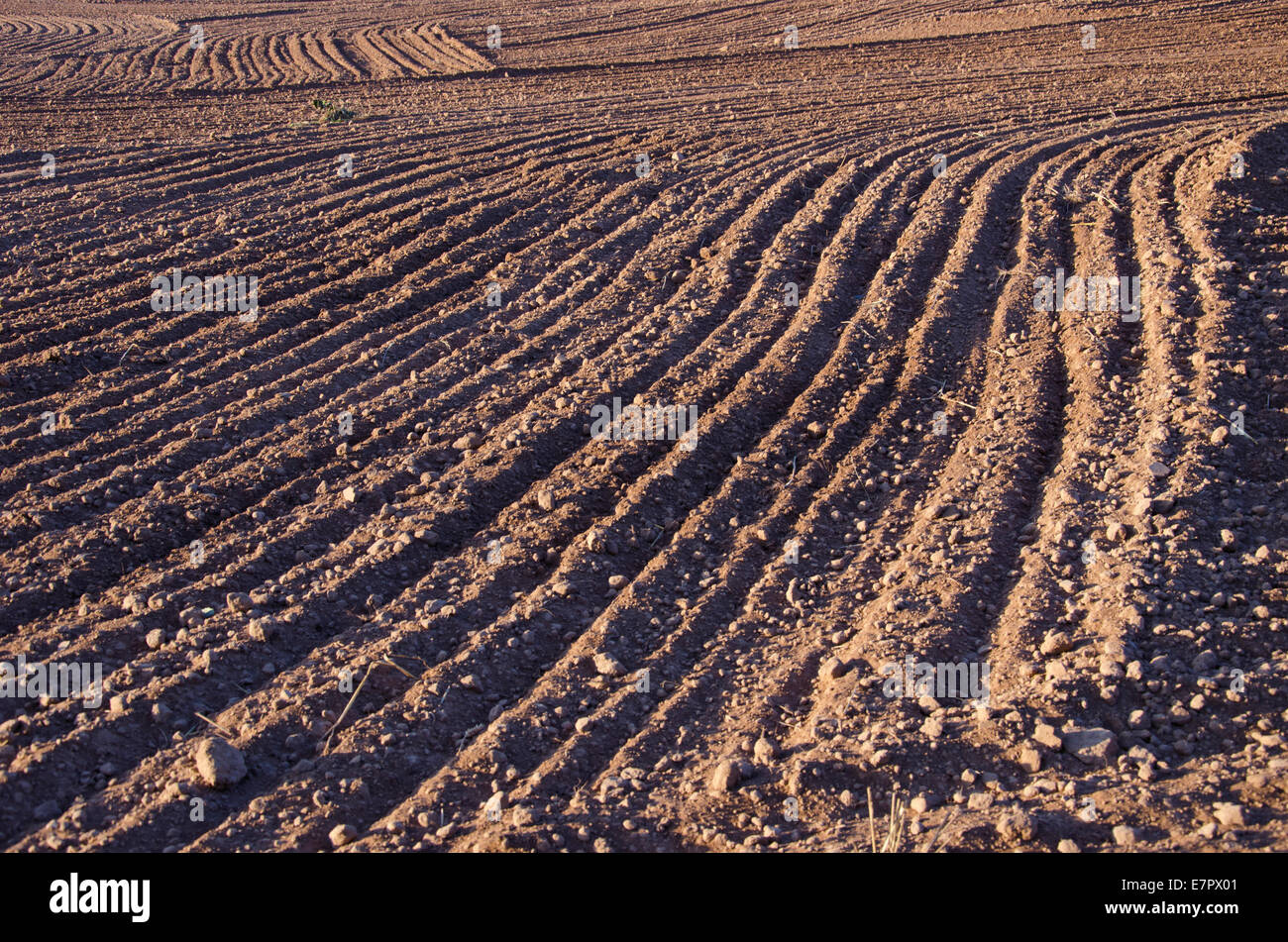cultivated farm field soil background and texture Stock Photo - Alamy